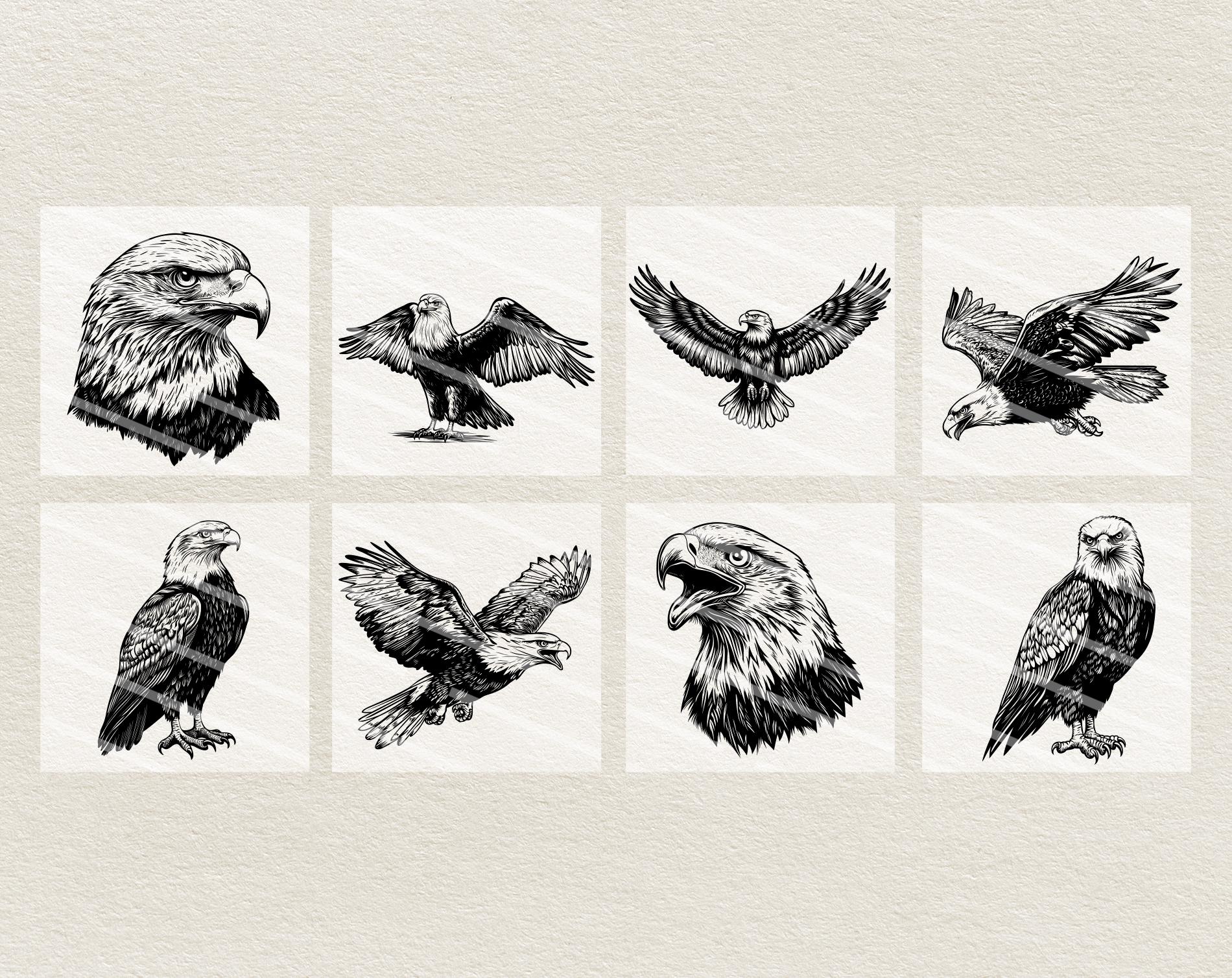 Vector Bald Eagle Clipart - Line Art Digital Illustration - American ...