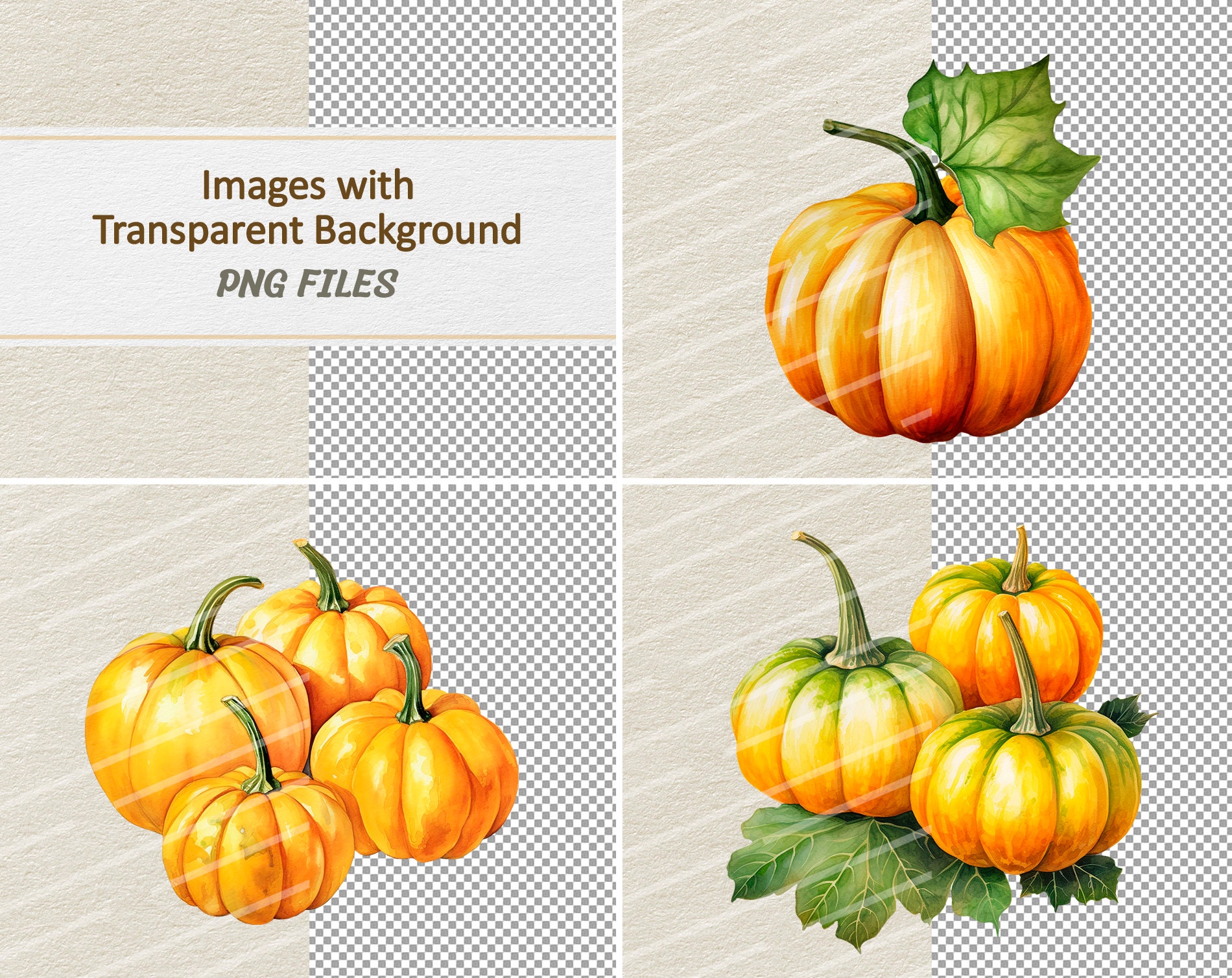 Watercolor Pumpkin Clipart Digital Illustration Pumpkin - Etsy