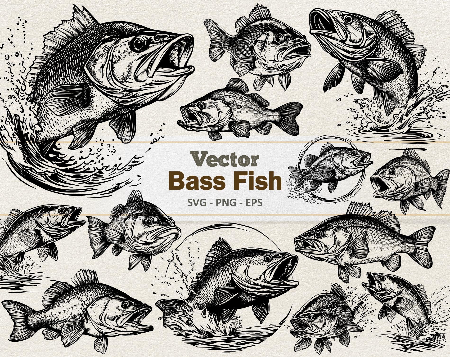 Vector Bass Fish Clipart - Line Art Digital Illustration - Largemouth ...