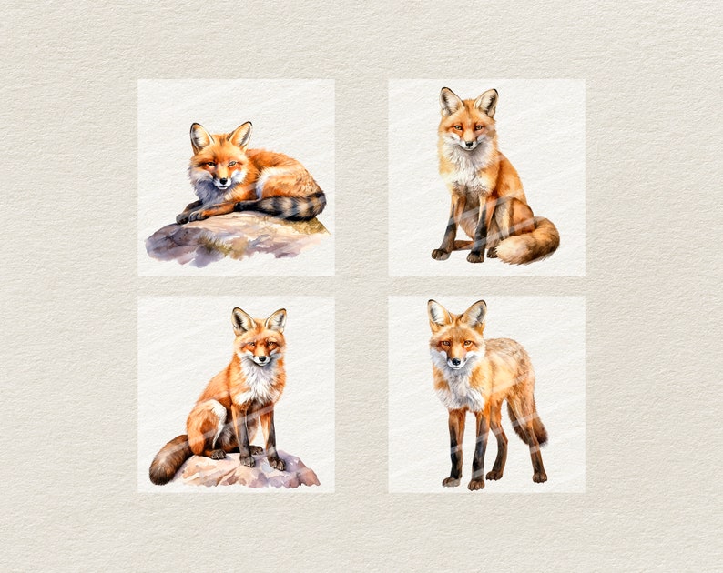 Watercolor Foxes Clipart Digital Illustration Baby Fox PNG Commercial ...