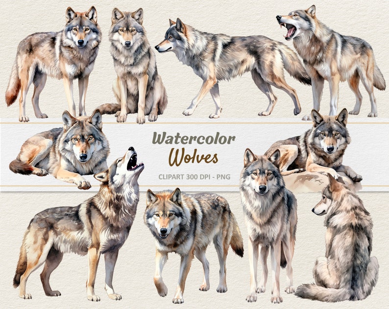 Watercolor Wolf Clipart Digital Illustration Wolves Wolf - Etsy Canada