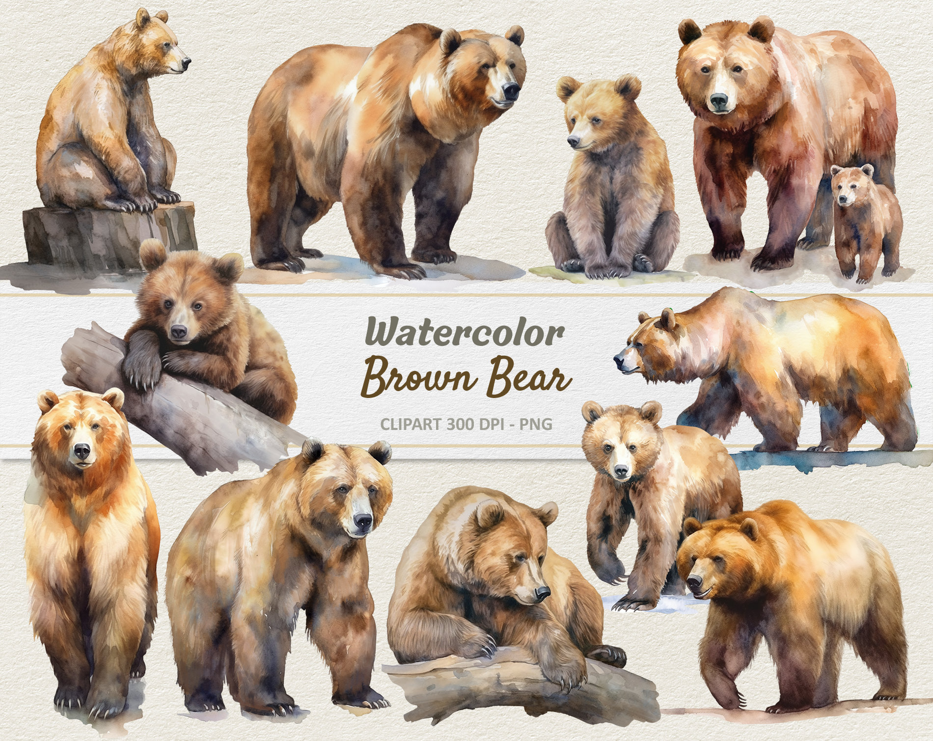 Watercolor Bear Clipart - Digital Illustration - Brown Bear PNG ...