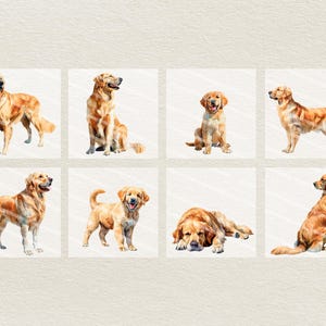 Watercolor Golden Retriever Clipart - Digital Illustration - Puppy Dog ...