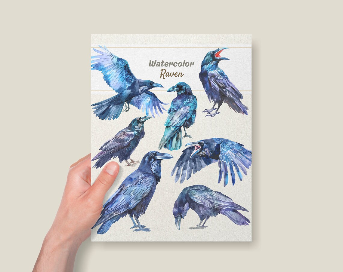 Watercolor Raven Clipart Digital Illustration Crow Raven PNG Commercial ...