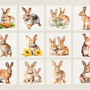 Watercolor Bunnies Clipart Bundle - Digital Illustration Bunny - Rabbit ...