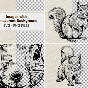Vector Squirrel Clipart - Line Art Digital Illustration - Forest Rodent ...
