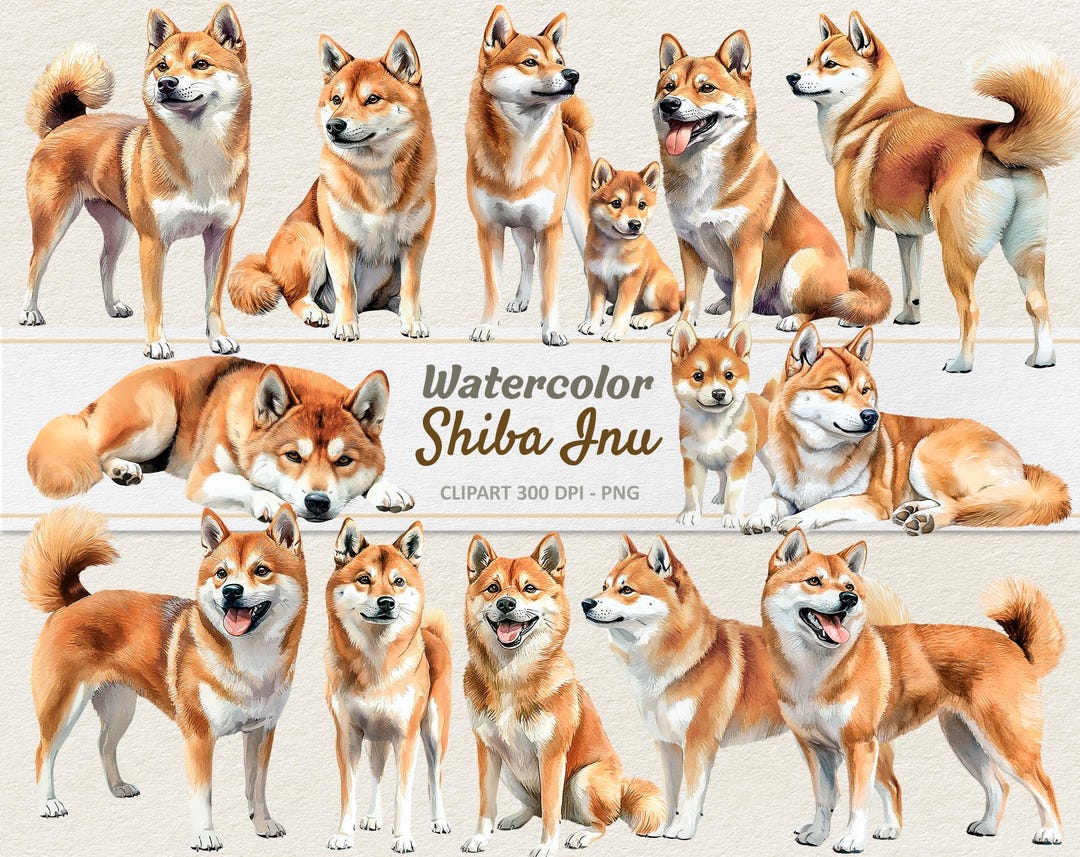 Watercolor Shiba Inu Clipart - Digital Illustration Doge - Puppy Shiba ...