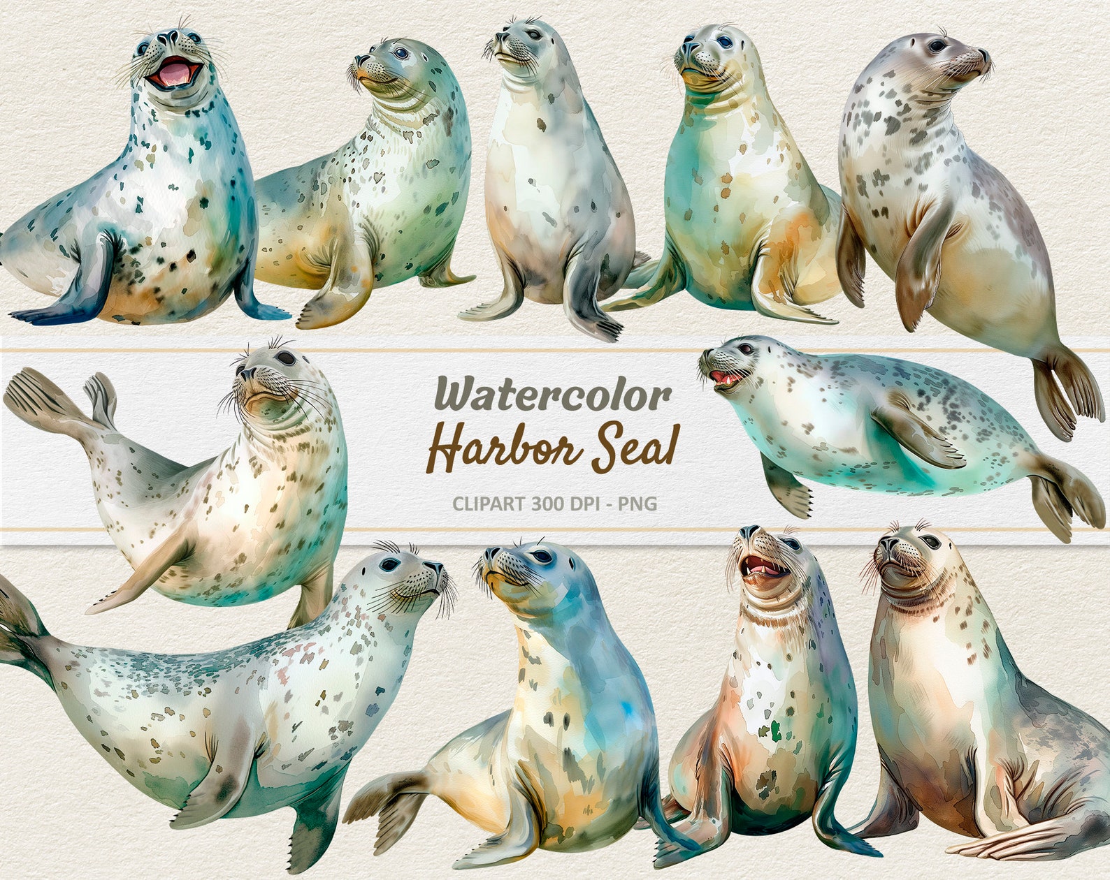 Aquarell Hafen Robbe Clipart - Digitale Illustration Seerobbe - Echte ...