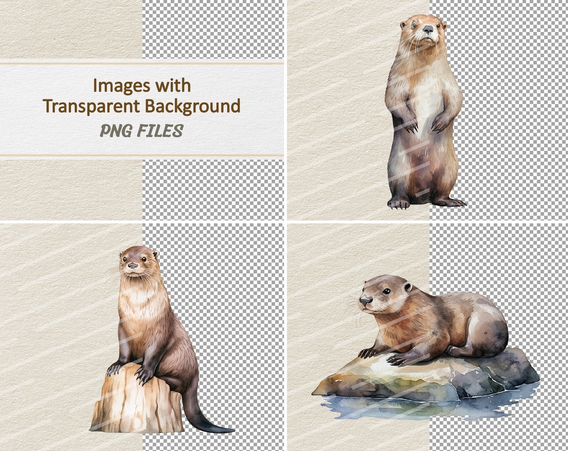 Watercolor Otter Clipart - Digital Illustration - Baby Otters PNG ...