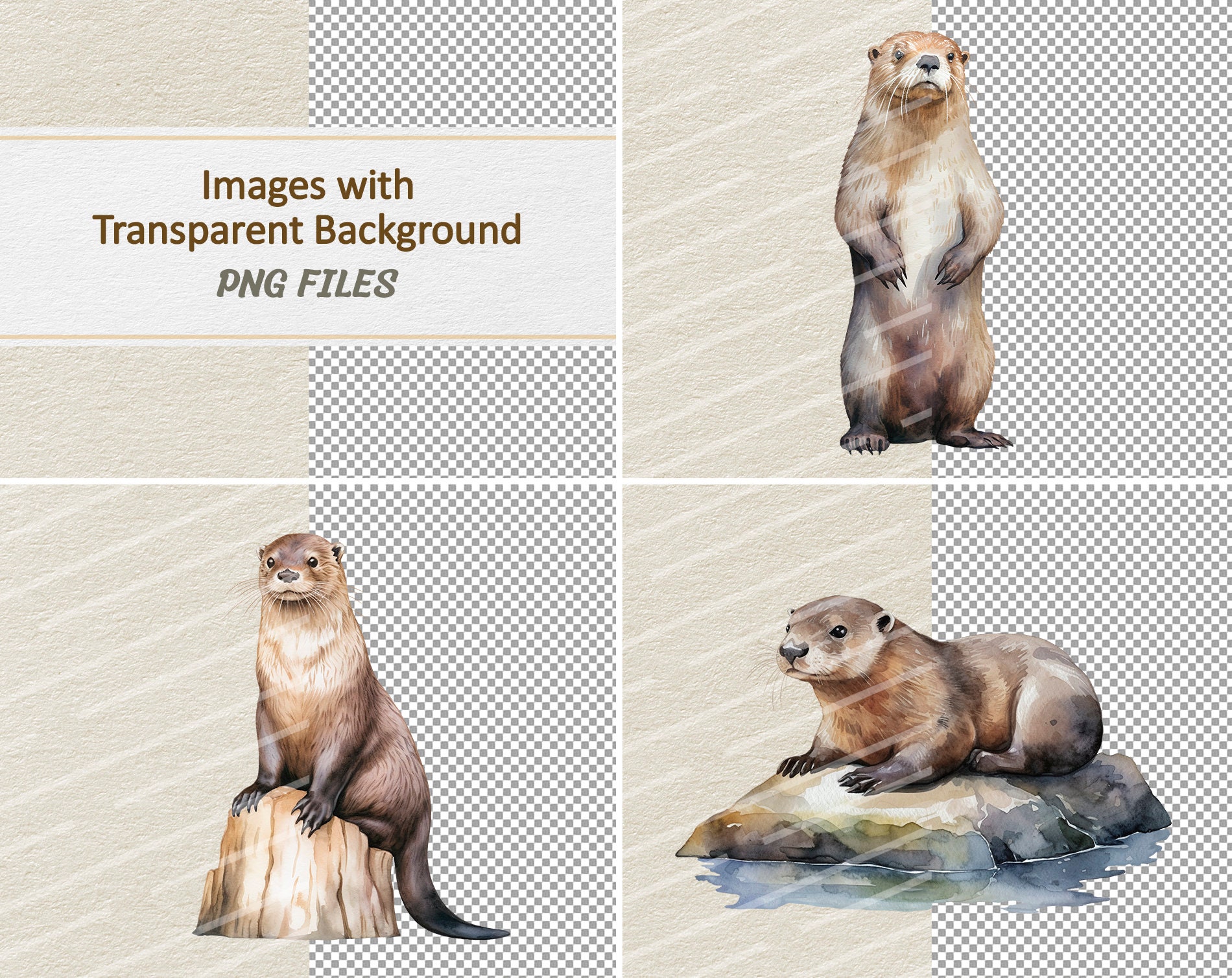 Watercolor Otter Clipart - Digital Illustration - Baby Otters PNG ...
