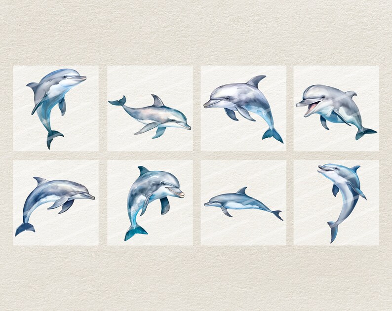 Watercolor Dolphin Clipart - Digital Illustration Dolphins - Bottlenose ...