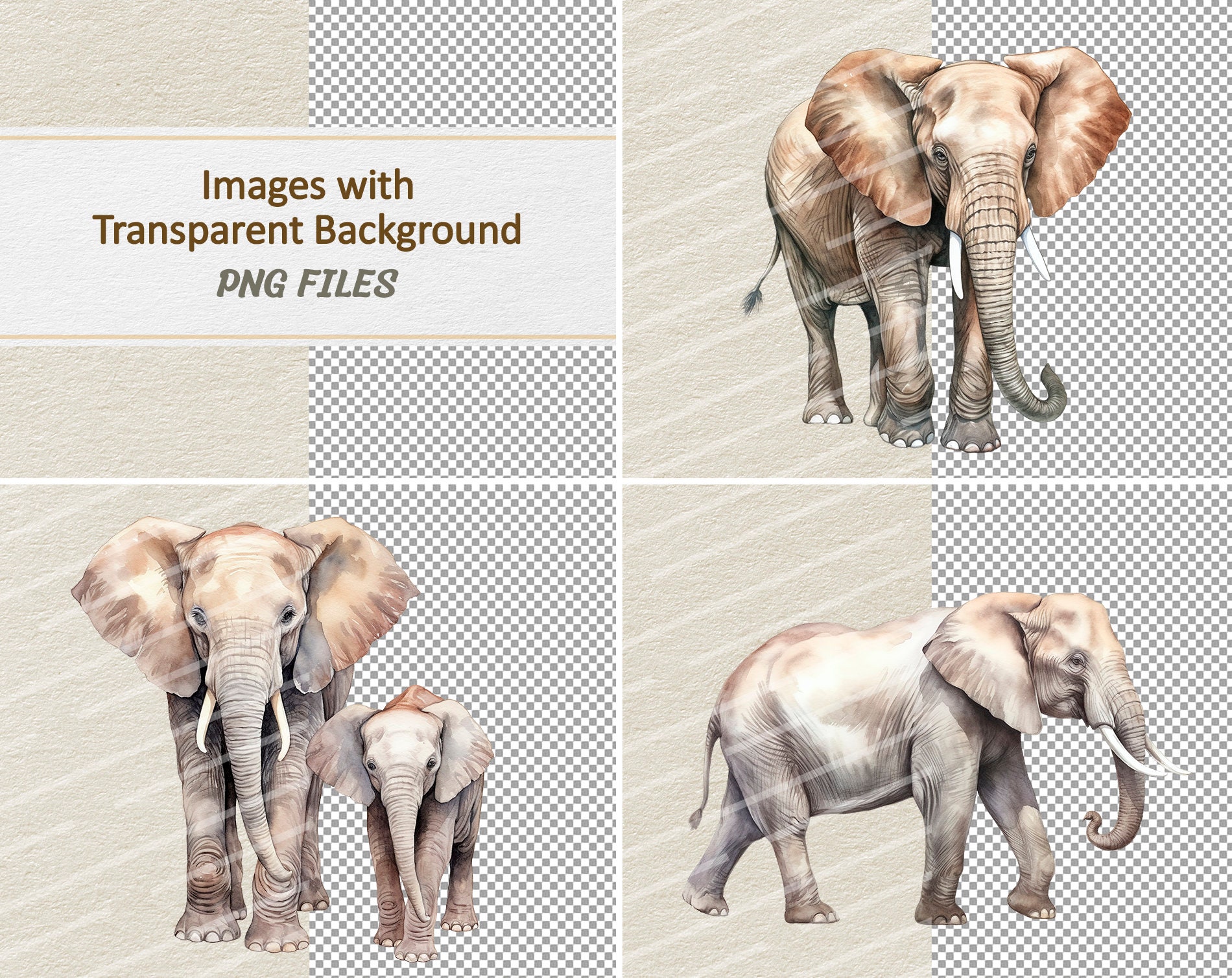 Watercolor Elephants Clipart Digital Illustration Baby Elephant PNG ...