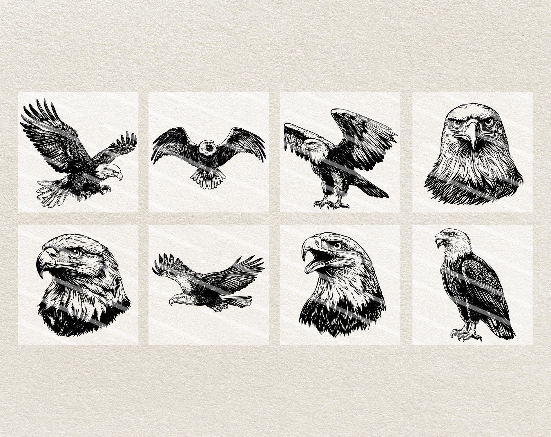 Vector Bald Eagle Clipart - Line Art Digital Illustration - American ...