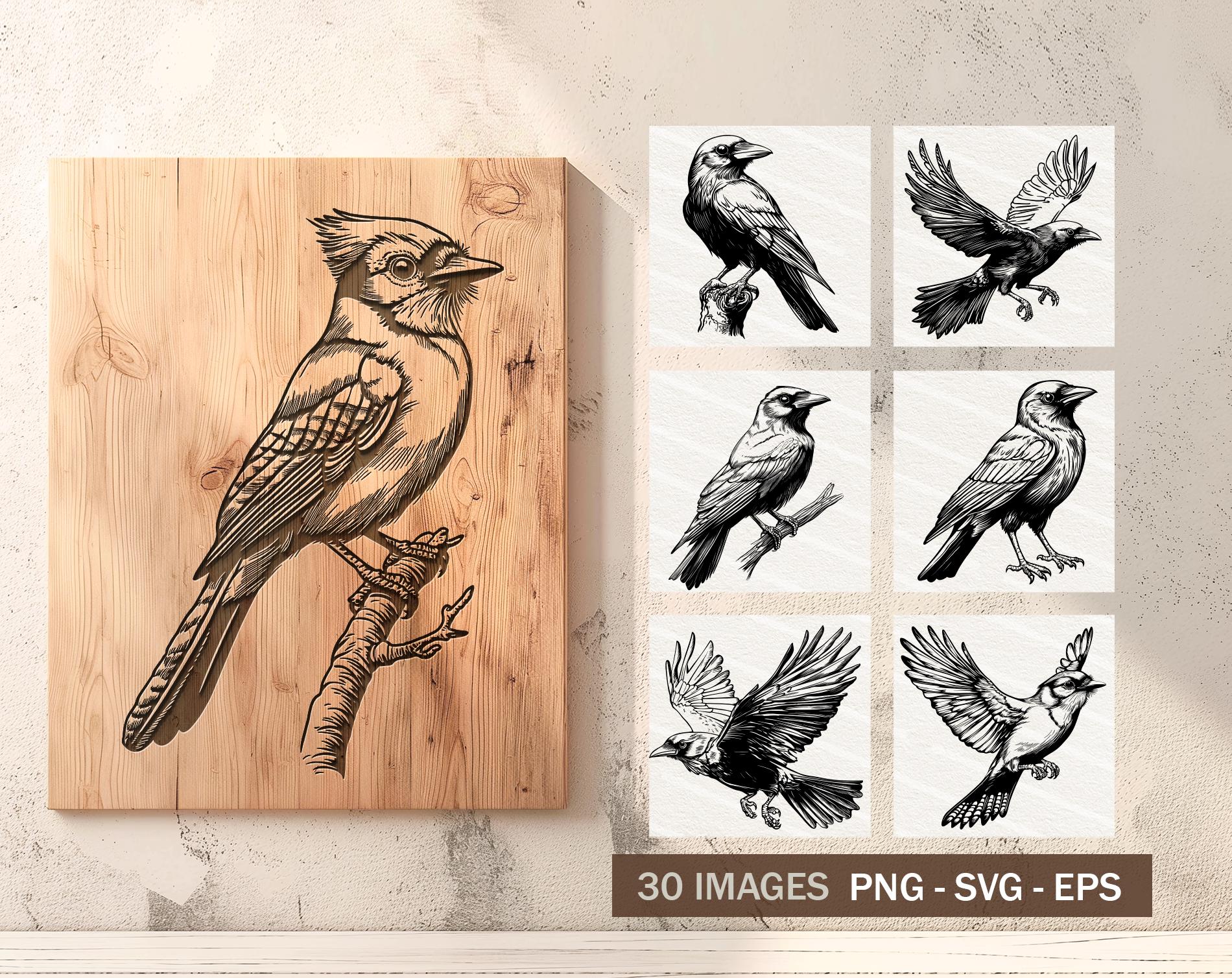 Vector Bird Clipart - Line Art Digital Illustration - Woodland Birds ...