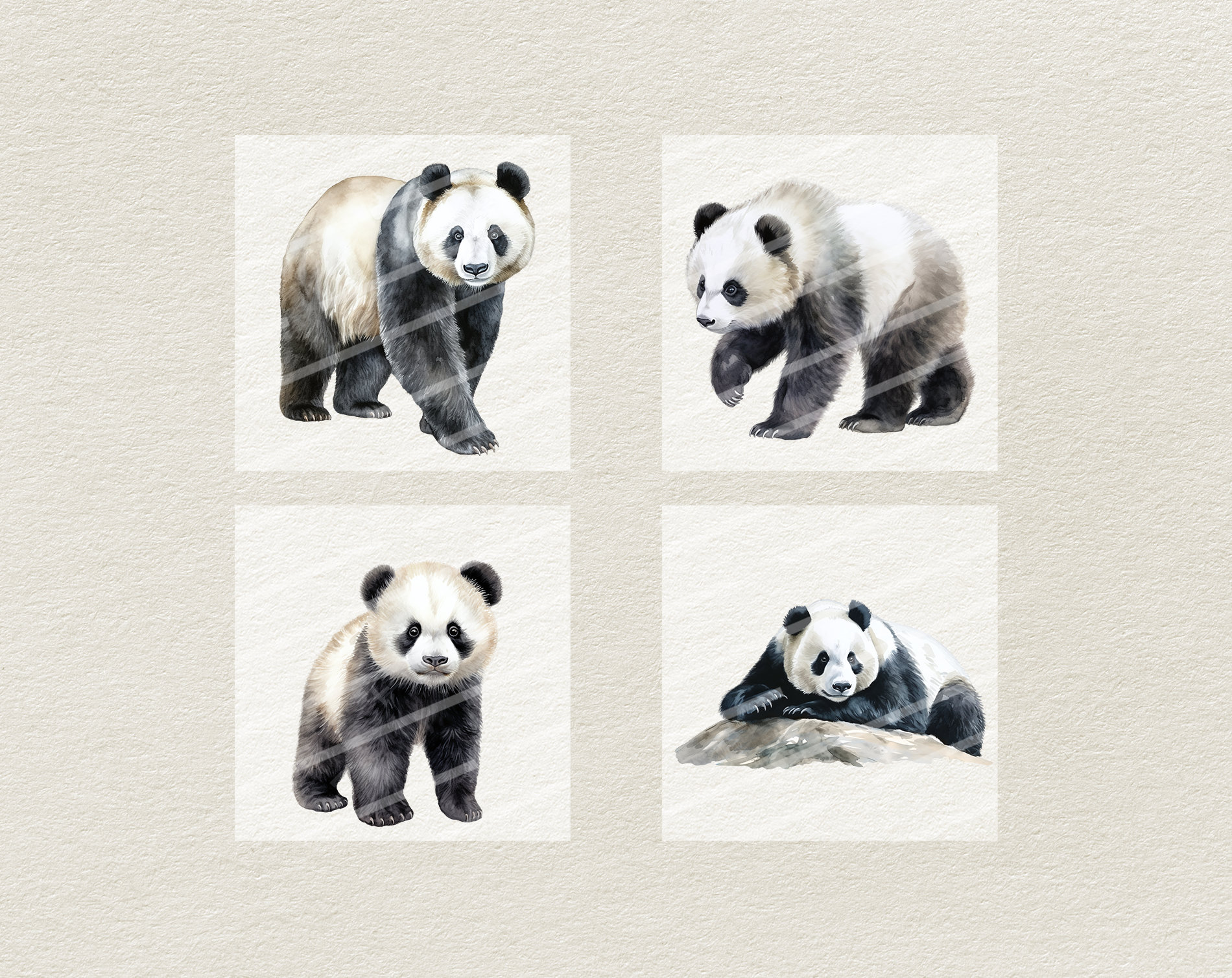 Watercolor Giant Panda Clipart Digital Illustration Panda Bear PNG ...