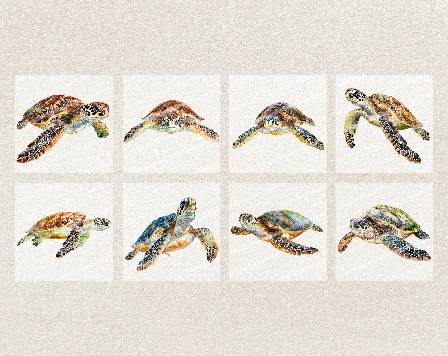 Watercolor Sea Turtle Clipart - Digital Illustration Marine Turtles ...