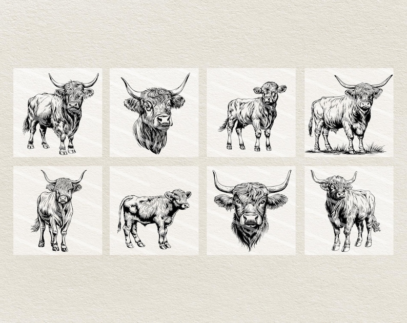 Vector Highland Cow Clipart - Line Art Digital Illustration - Highland ...