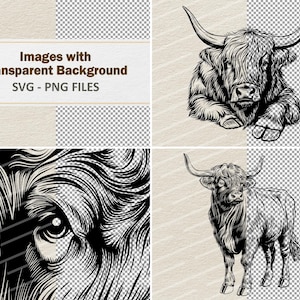 Vector Highland Cow Clipart - Line Art Digital Illustration - Highland ...