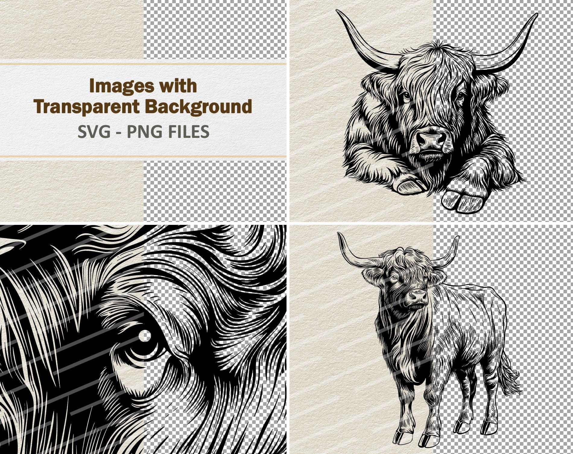 Vector Highland Cow Clipart - Line Art Digital Illustration - Highland ...
