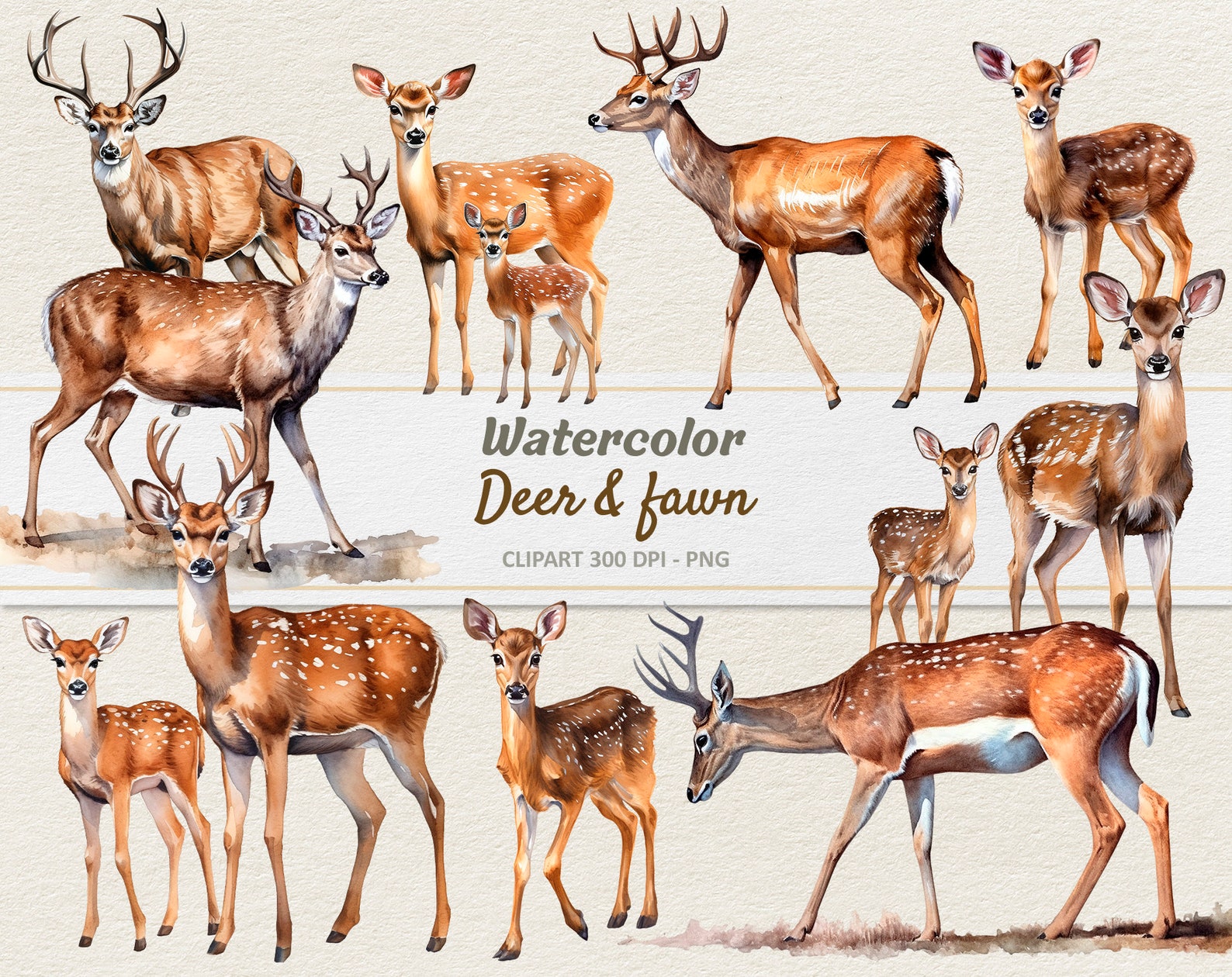 Watercolor Deer and Fawn Clipart - Digital Illustration - Deer Doe PNG - Commercial Use - Etsy