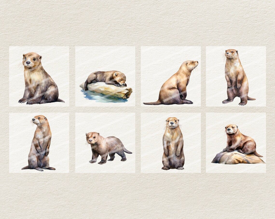 Watercolor Otter Clipart - Digital Illustration - Baby Otters PNG ...