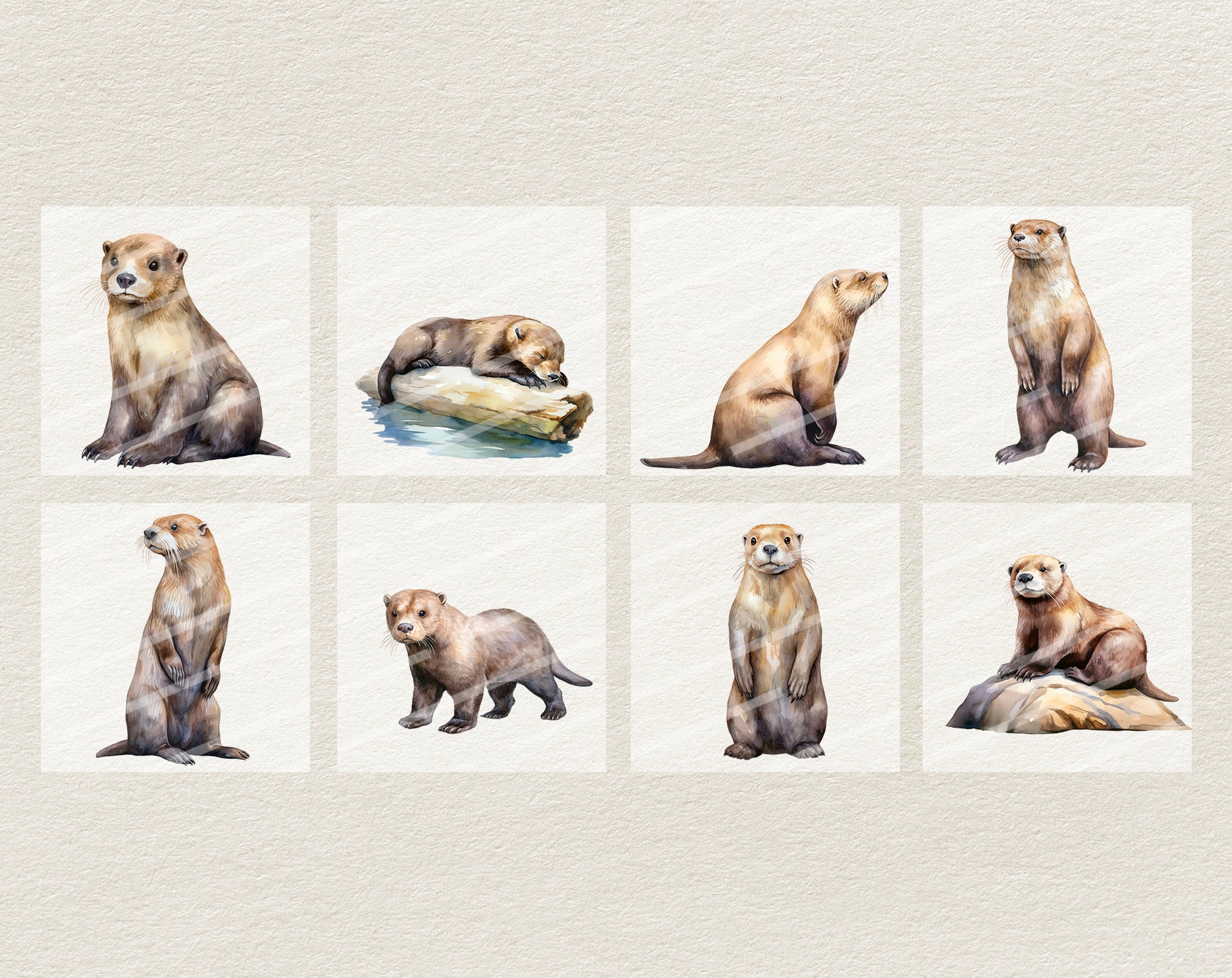 Watercolor Otter Clipart - Digital Illustration - Baby Otters PNG ...