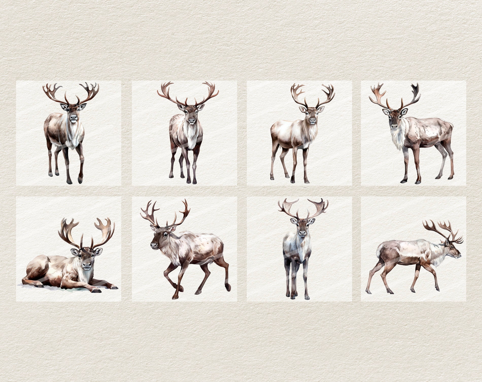 Watercolor Reindeer Clipart Digital Illustration Caribou - Etsy