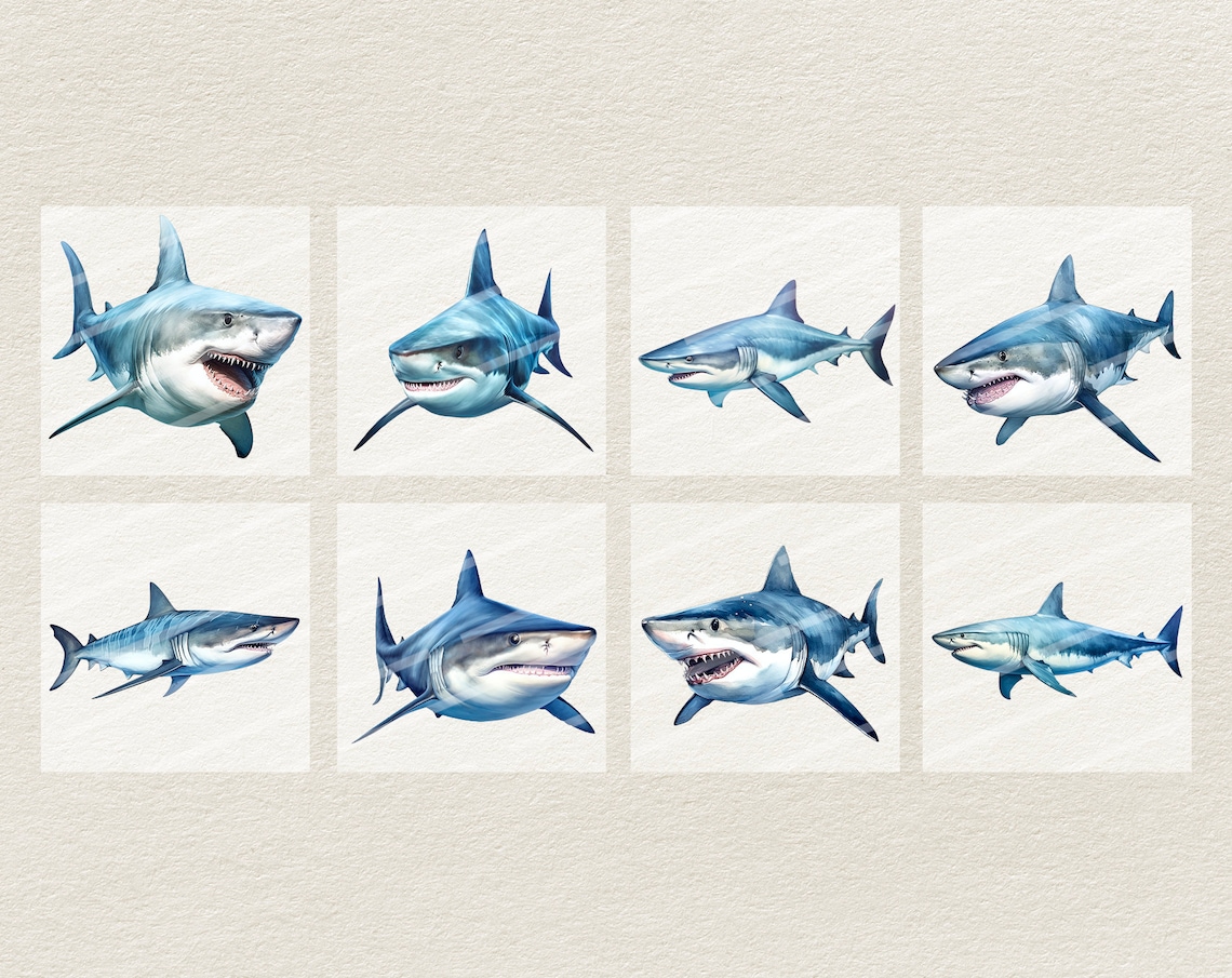 Watercolor Shark Clipart - Digital Illustration Sharks - Great White ...