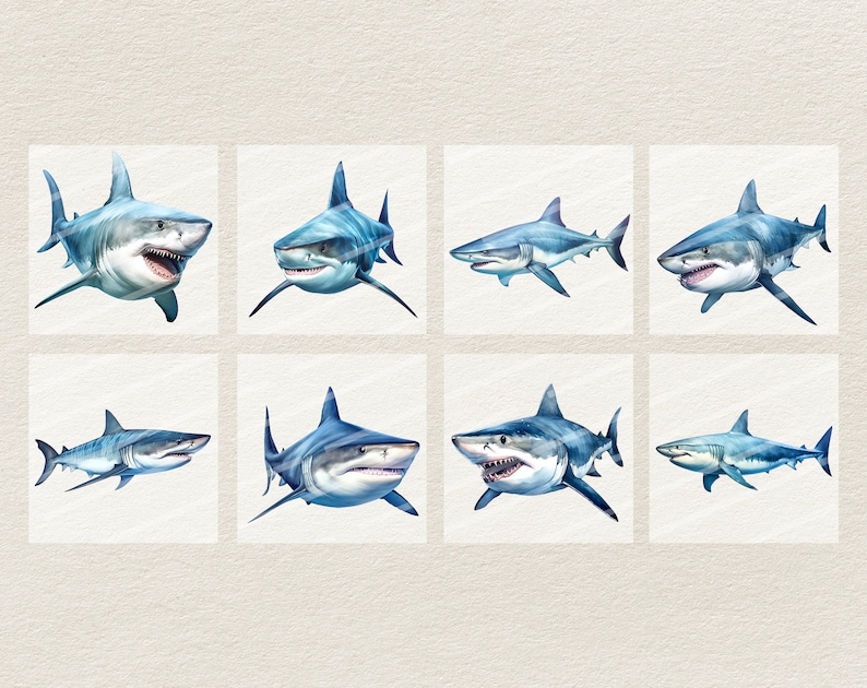 Watercolor Shark Clipart - Digital Illustration Sharks - Great White ...
