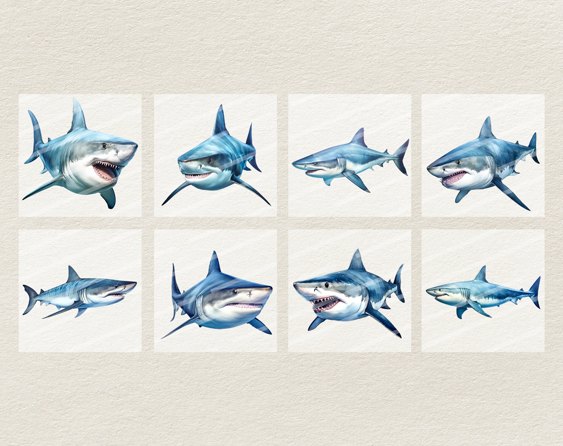 Watercolor Shark Clipart - Digital Illustration Sharks - Great White ...