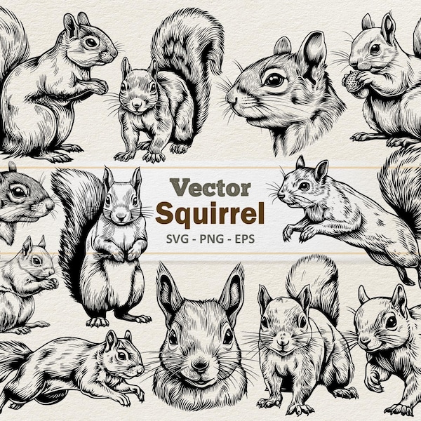 Squirrel Clipart - Etsy