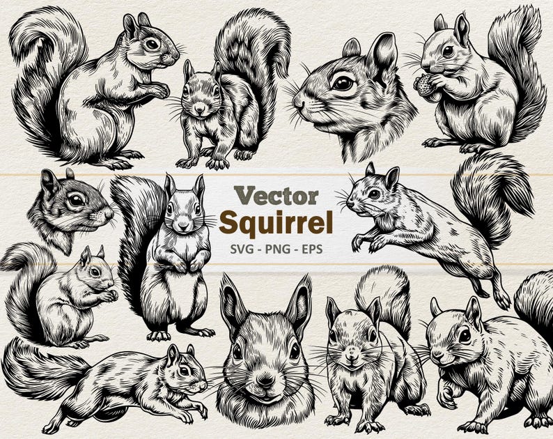 Vector Squirrel Clipart - Line Art Digital Illustration - Forest Rodent ...