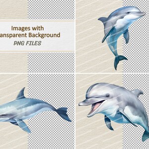 Watercolor Dolphin Clipart - Digital Illustration Dolphins - Bottlenose ...