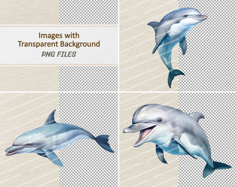 Watercolor Dolphin Clipart Digital Illustration Dolphins Bottlenose ...