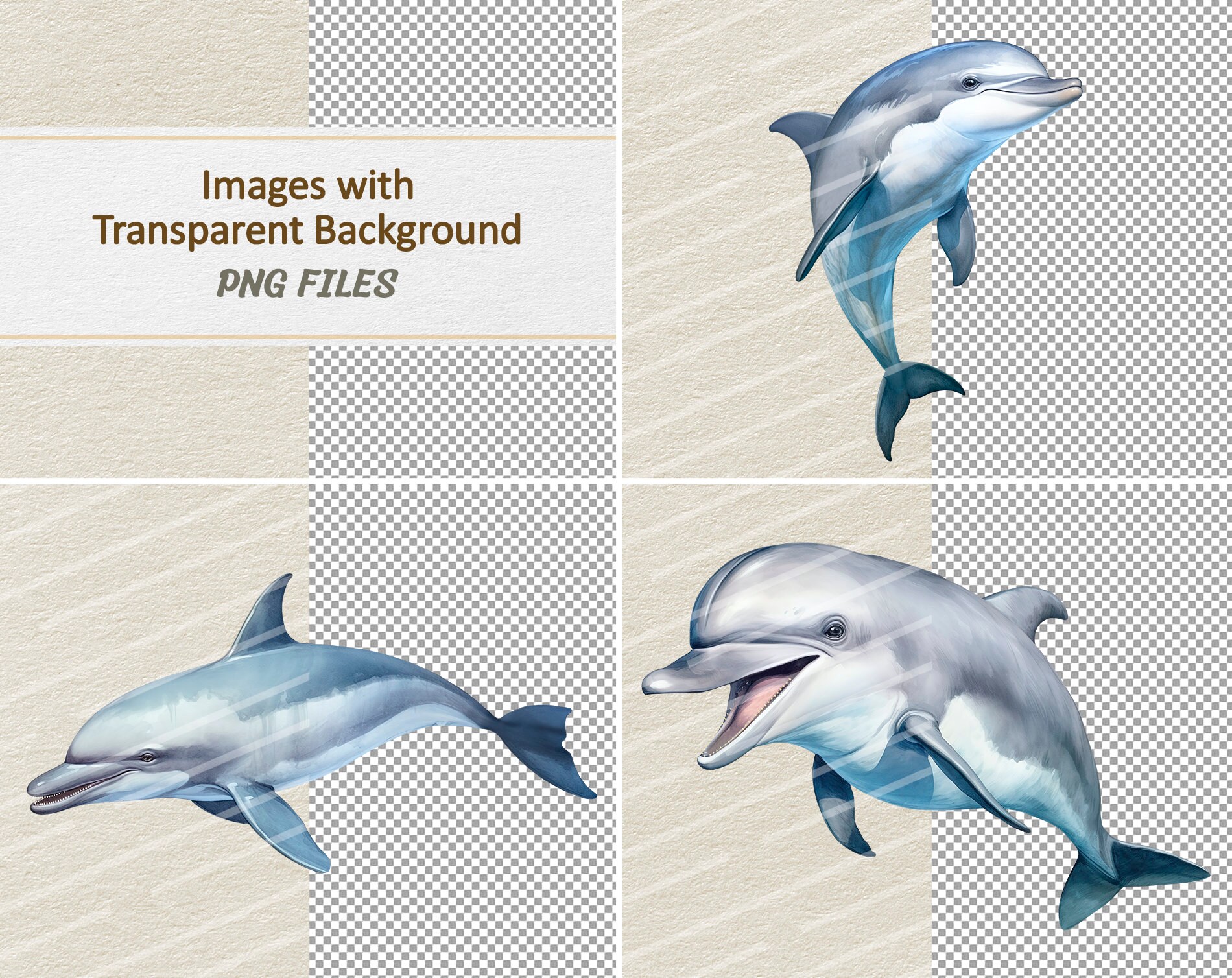 Watercolor Dolphin Clipart Digital Illustration Dolphins Bottlenose ...