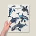 Watercolor Orca Clipart - Digital Illustration Killer Whale - Orcas PNG ...