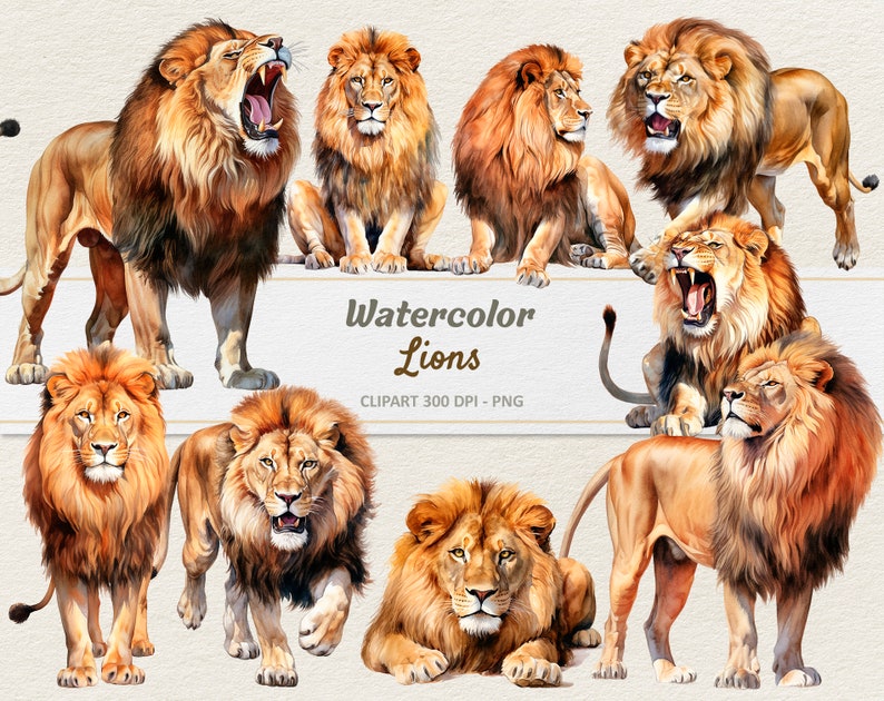 Watercolor Lions Clipart Digital Illustration Lion PNG Commercial Use ...