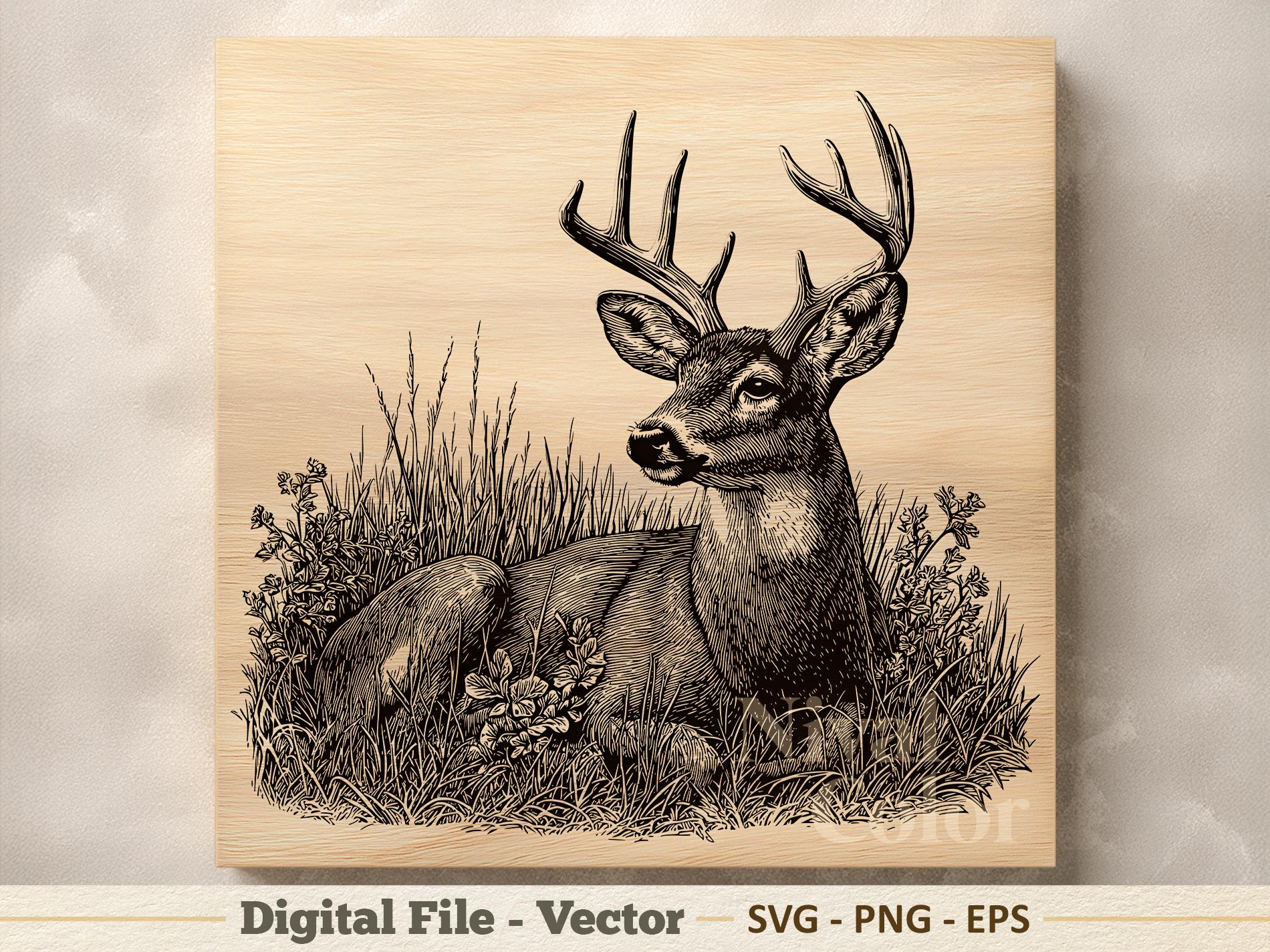 Deer Vector Illustration SVG – Woodland Buck Line Art PNG - Laser ...