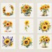 Watercolor Sunflowers Clipart Spring Summer Flowers Digital ...