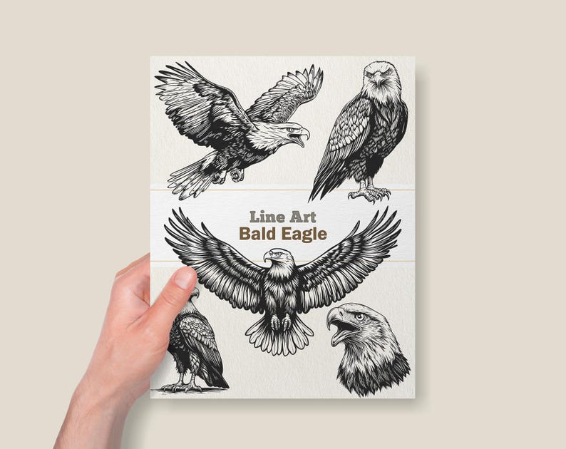 Vector Bald Eagle Clipart - Line Art Digital Illustration - American ...