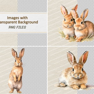 Watercolor Bunnies Clipart - Digital Illustration Bunny - Rabbit PNG ...