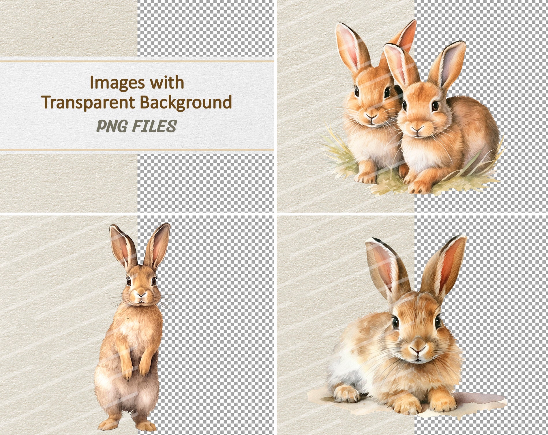 Watercolor Bunnies Clipart - Digital Illustration Bunny - Rabbit PNG ...