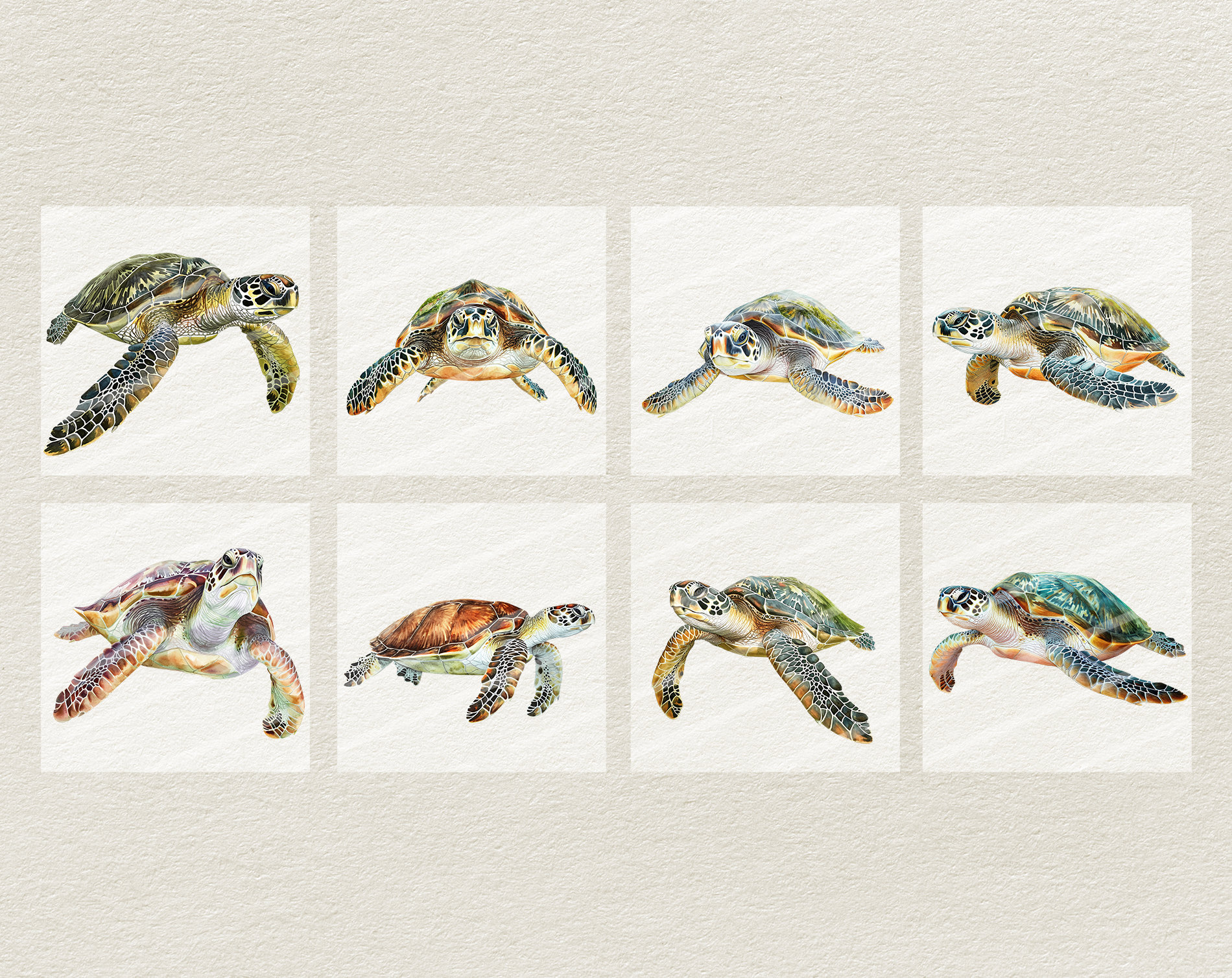 Watercolor Sea Turtle Clipart Digital Illustration Marine Turtles ...