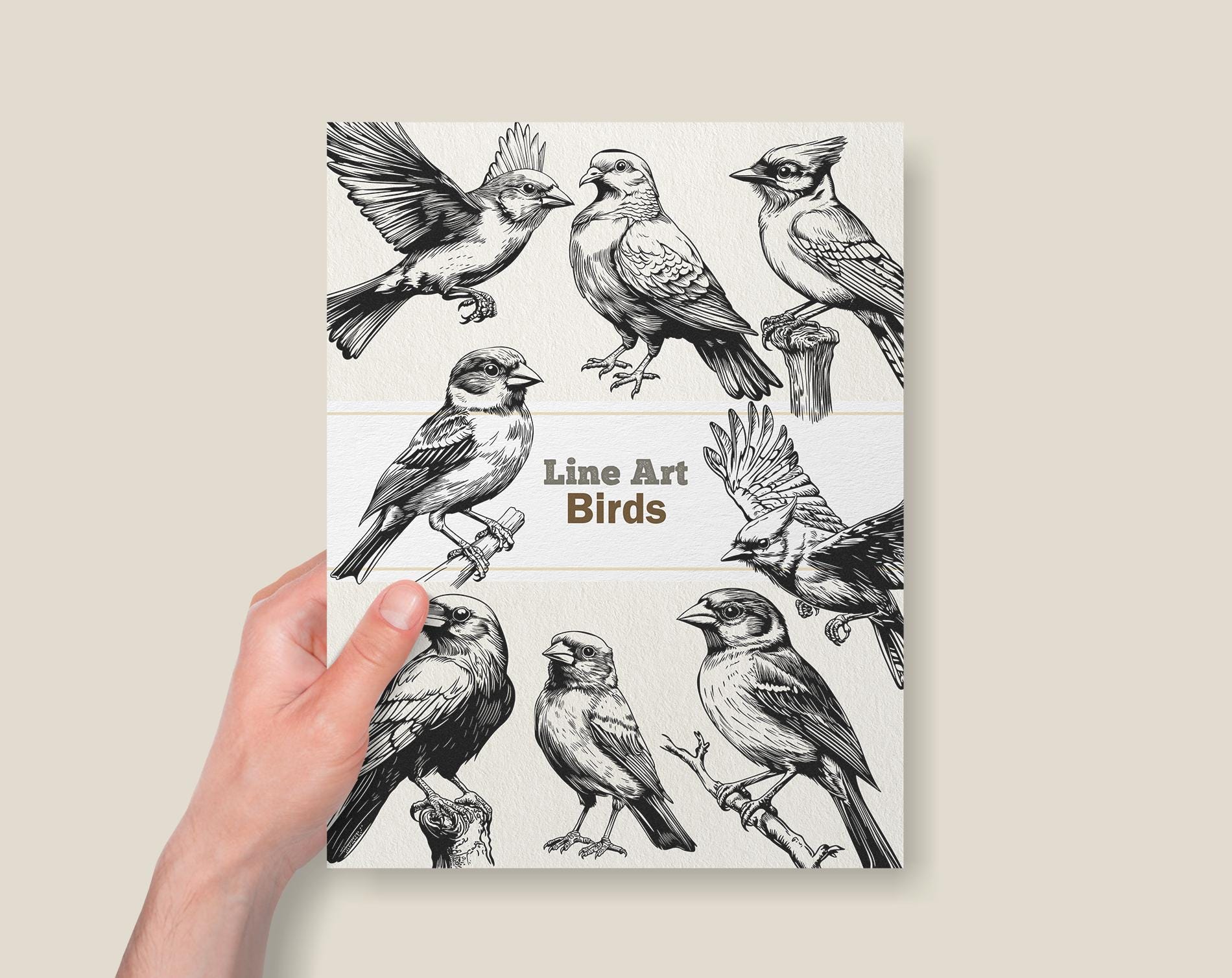 Vector Bird Clipart - Line Art Digital Illustration - Woodland Birds ...