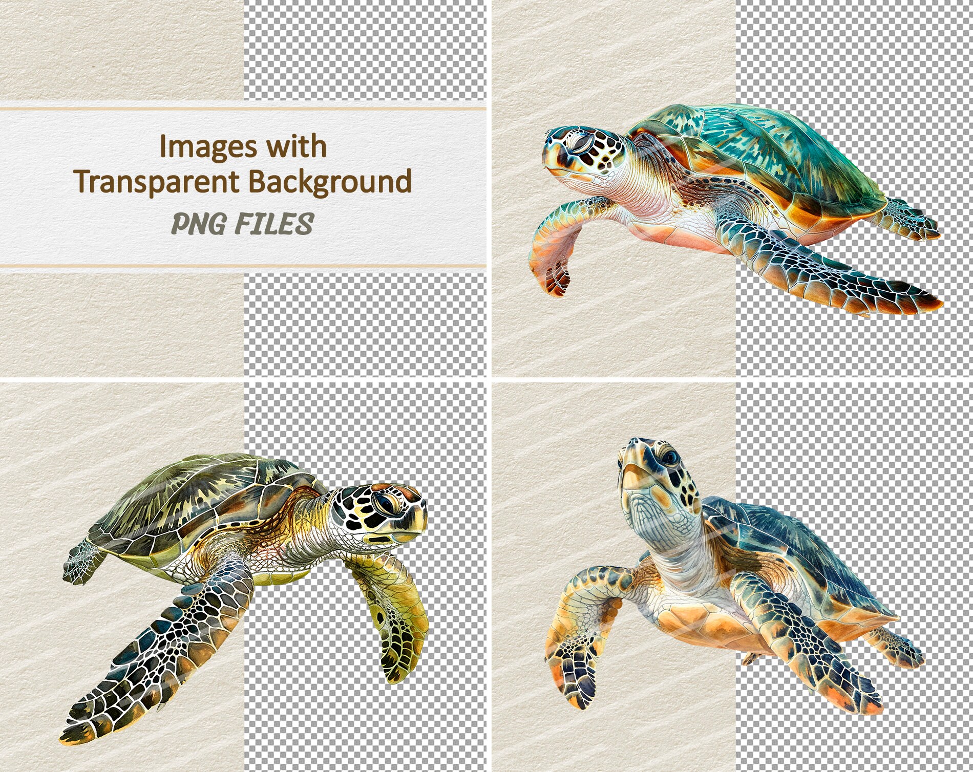 Watercolor Sea Turtle Clipart Digital Illustration Marine Turtles ...