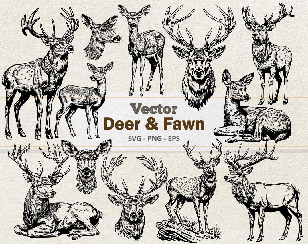 Vector Deer and Fawn Clipart - Line Art Digital Illustration - Doe SVG ...