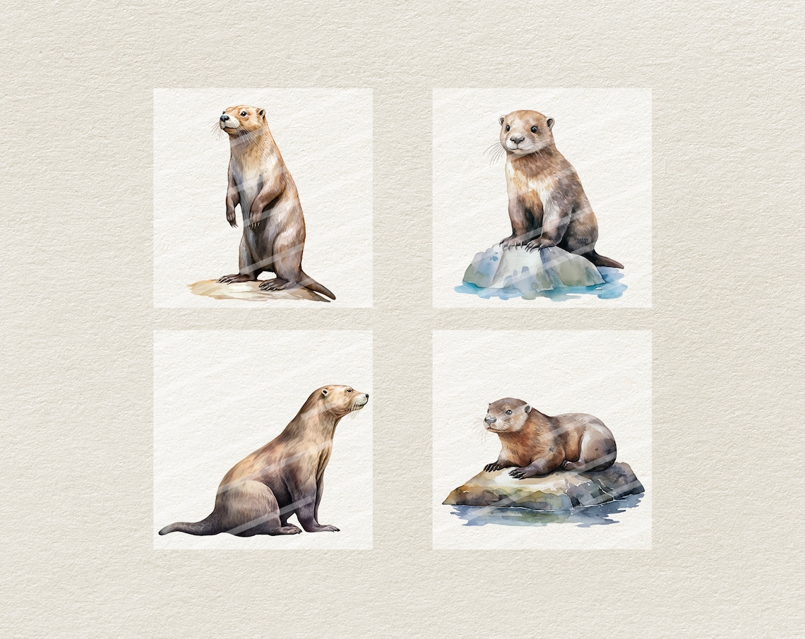 Watercolor Otter Clipart - Digital Illustration - Baby Otters PNG ...