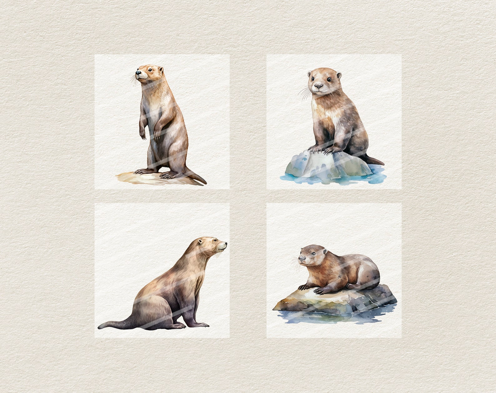 Watercolor Otter Clipart - Digital Illustration - Baby Otters PNG ...