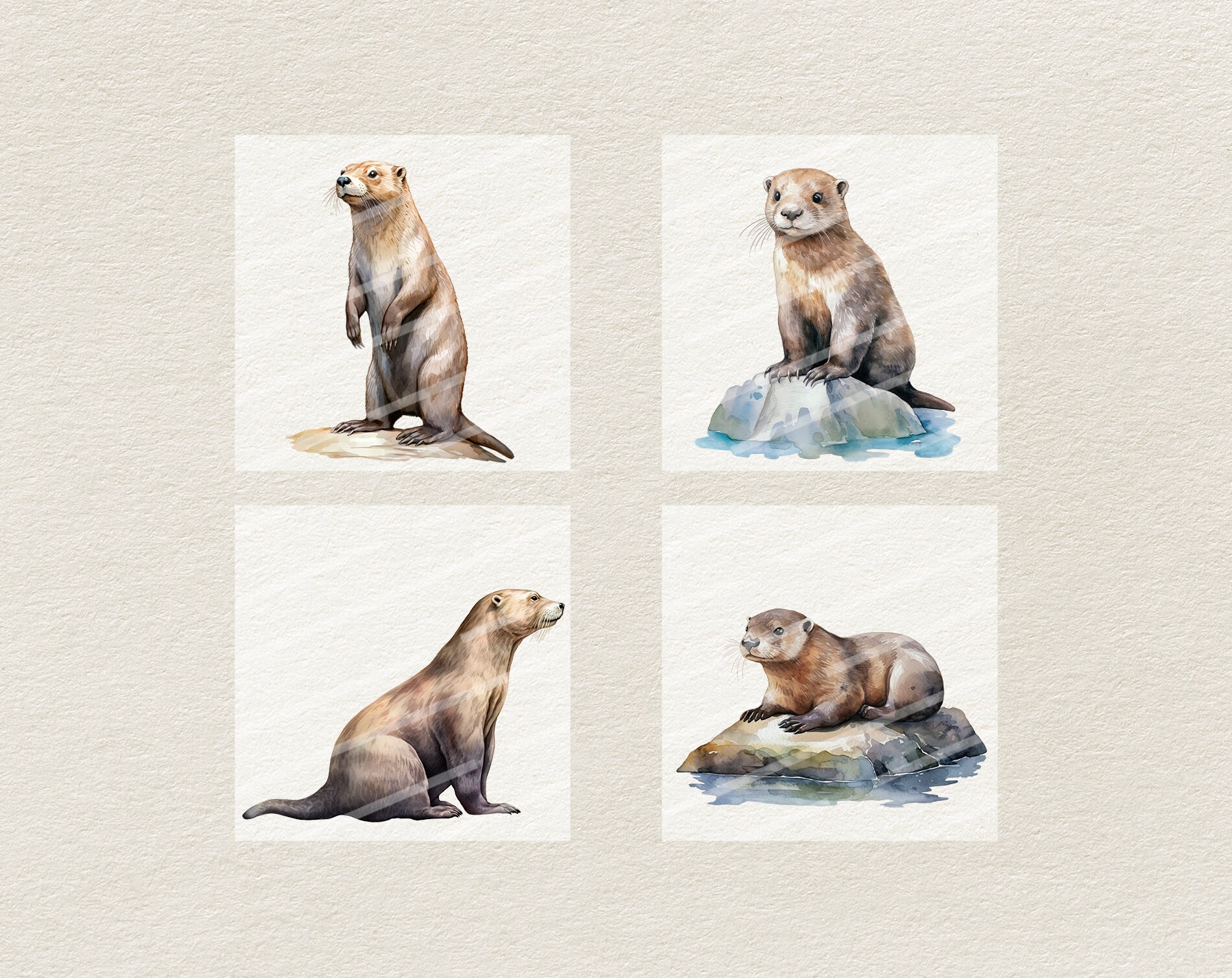 Watercolor Otter Clipart - Digital Illustration - Baby Otters PNG ...