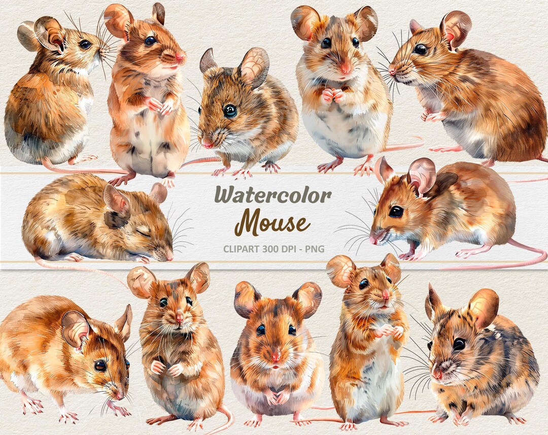Watercolor Mouse Clipart - Digital Mice Illustration - Rodent PNG ...